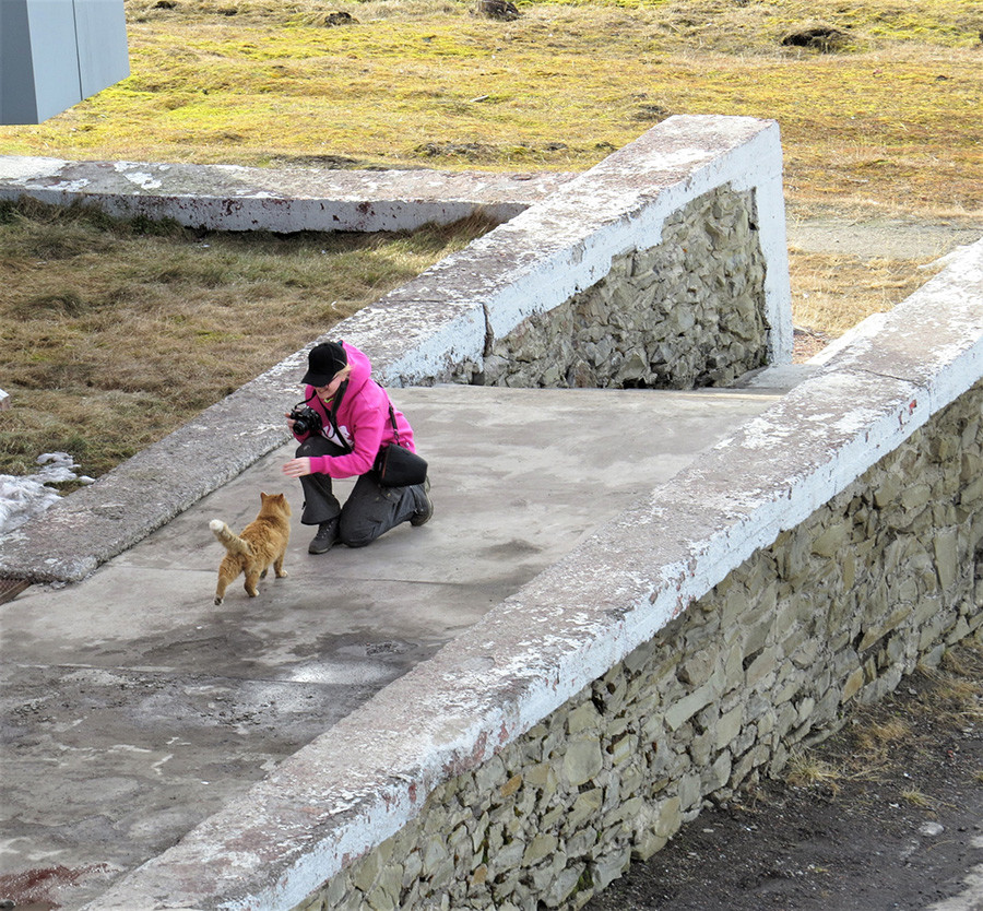 Kescha der Kater: Treffen Sie das einzige Samtpfötchen im gesamten ...