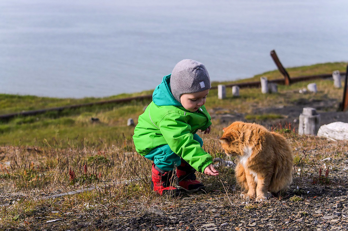 Kescha der Kater: Treffen Sie das einzige Samtpfötchen im gesamten ...