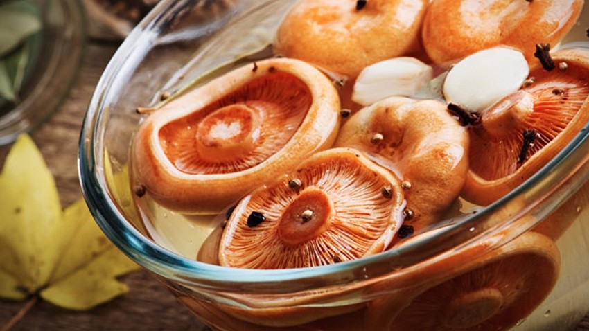 El rey de los entremeses rusos: El níscalo - Russia Beyond ES