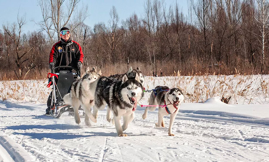 8 Dinge, die man in der Altai-Region unbedingt machen muss - Russia ...